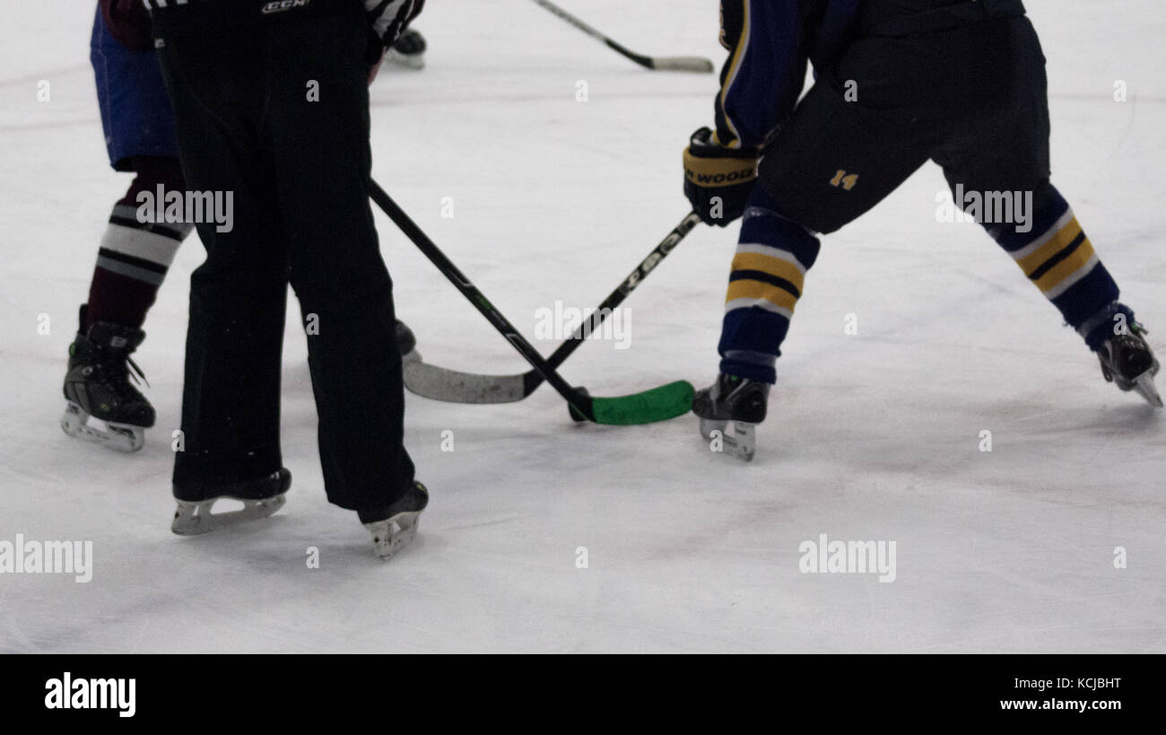 Hockey puck motion sliding hi-res stock photography and images - Alamy