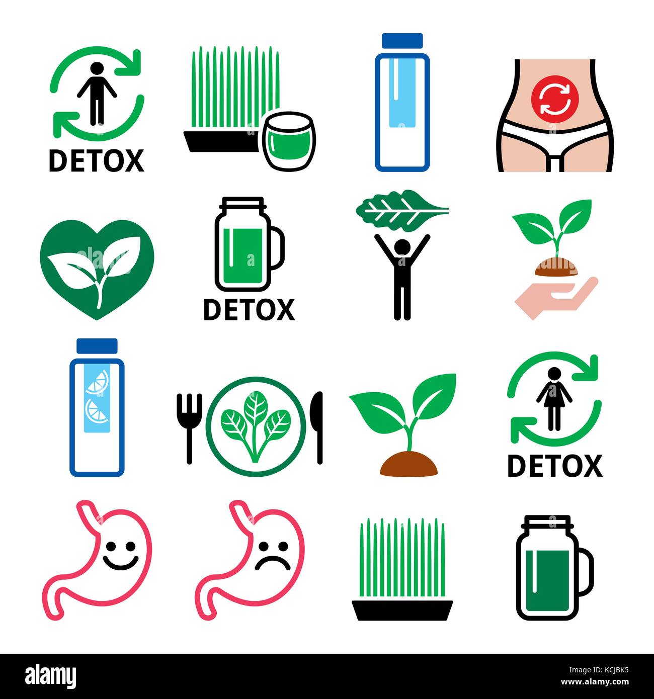 Detoxification organism Stock Vector Images - Alamy