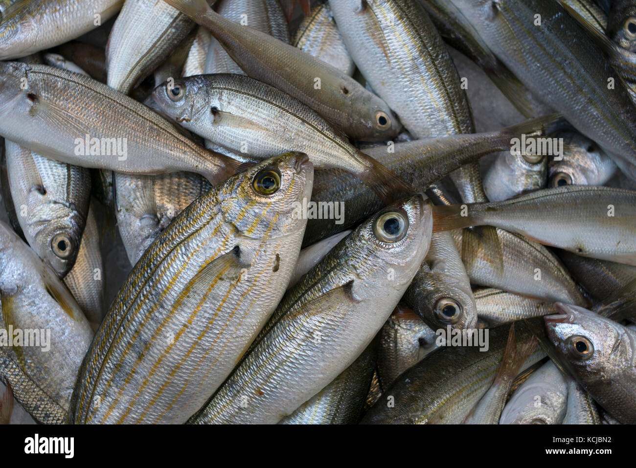 fresh fish for sale via tribunali napoli naples italy Stock Photo - Alamy