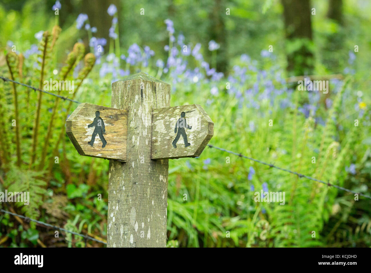 Signpost for walkers Stock Photo - Alamy
