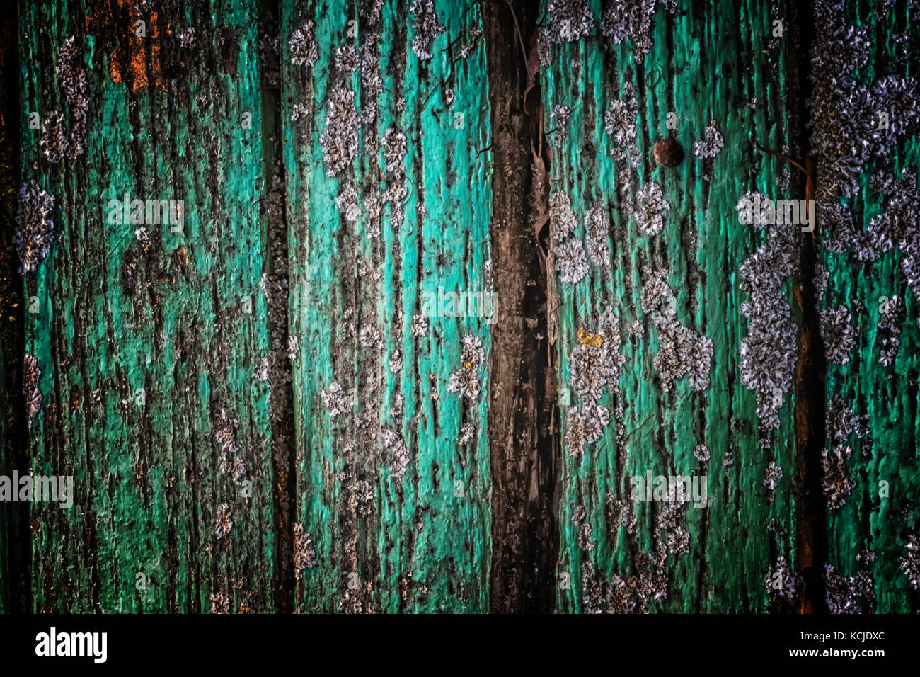 Very old, grunge, rustic wood texture with natural patterns and cracks ...