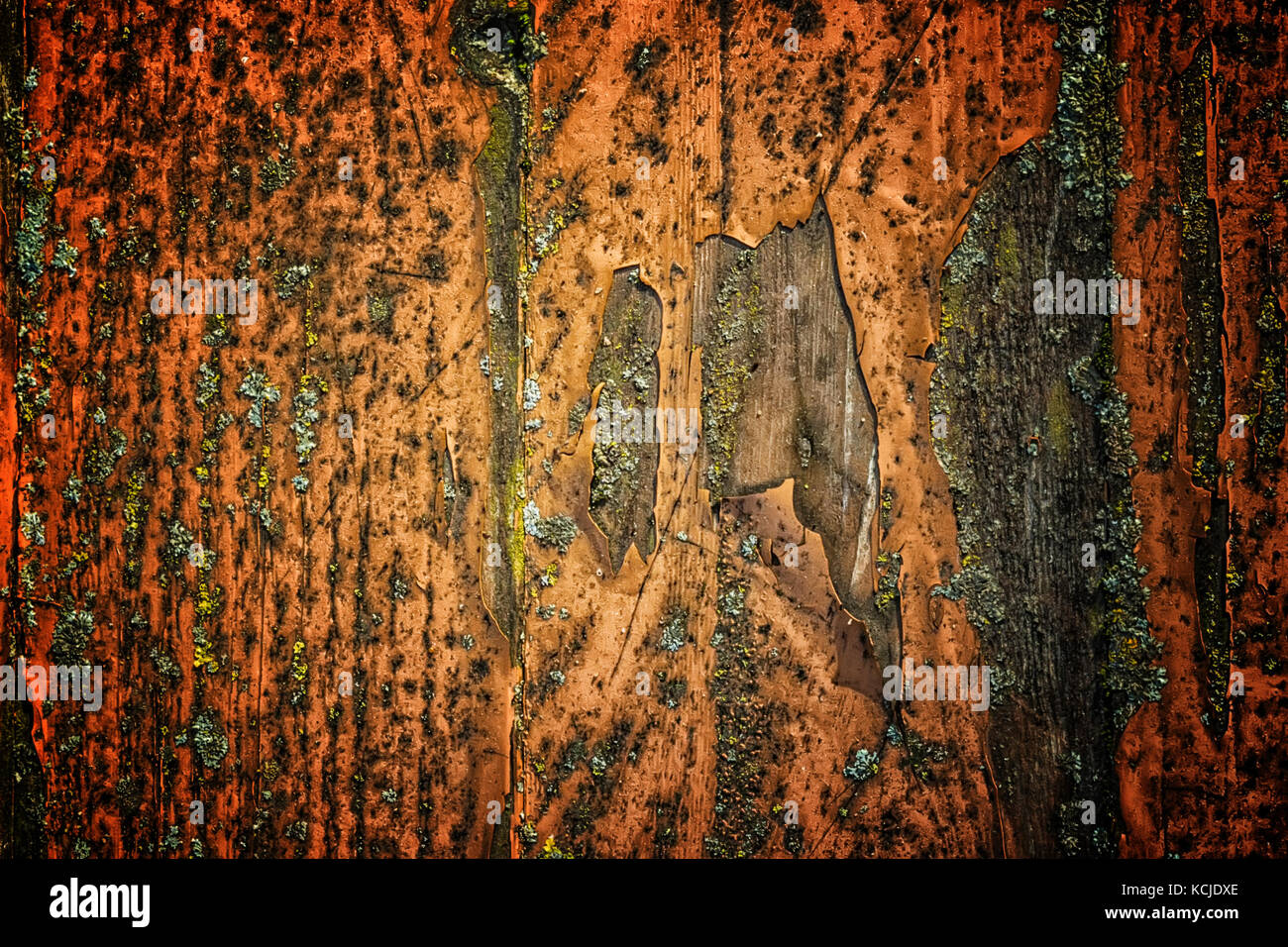 Very old, grunge, rustic wood texture with natural patterns and cracks ...