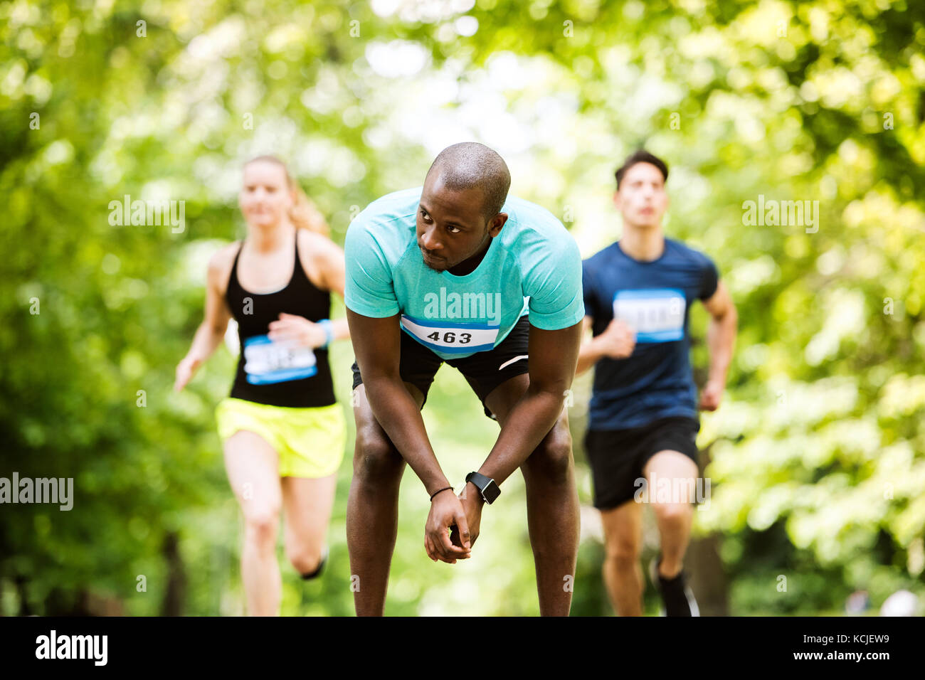 Group of young athletes running a race in green sunny park Stock Photo ...