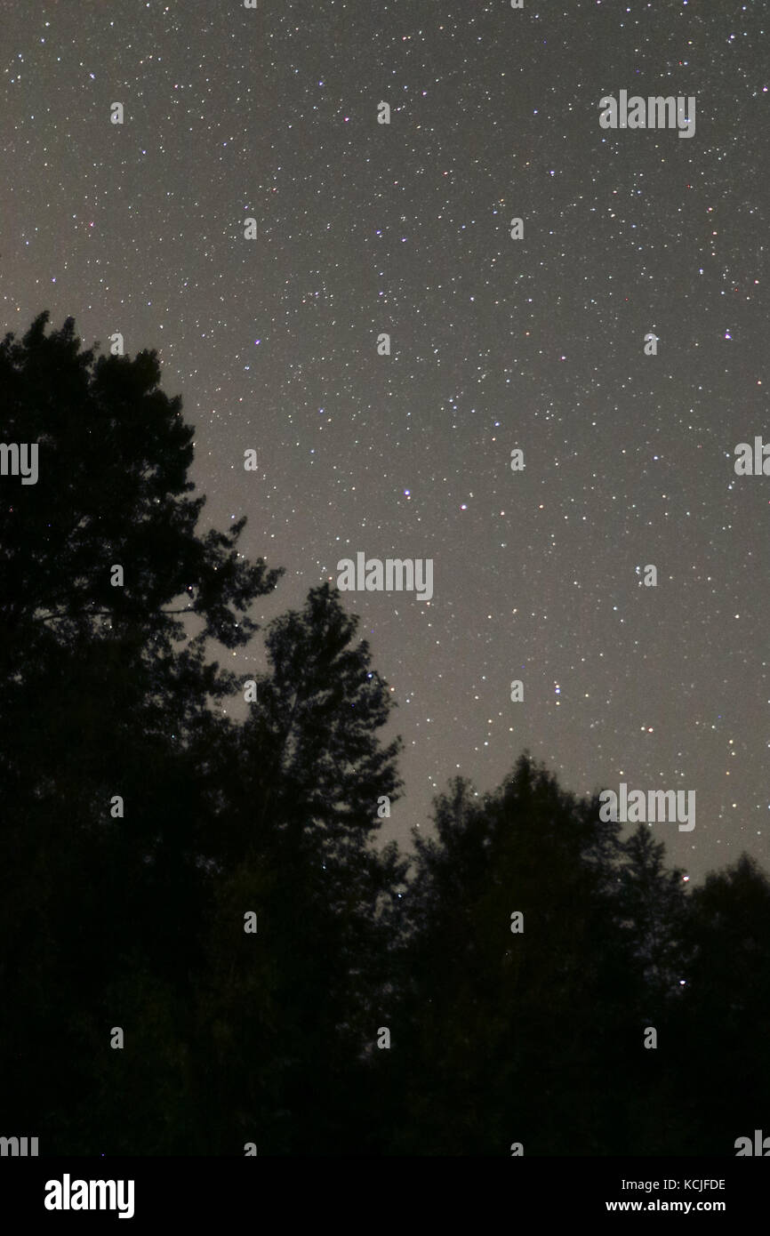 Starry summer night Stock Photo - Alamy