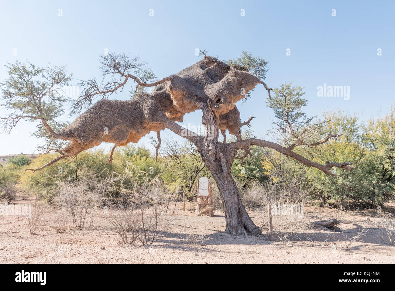 GOCHAS, NAMIBIA - JULY 5, 2017: Graves of fallen German soldiers under ...