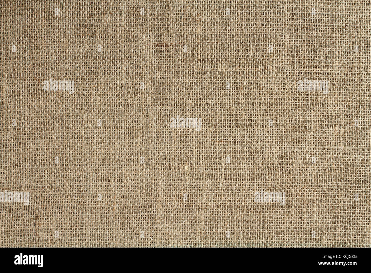 Kenaf hi-res stock photography and images - Alamy