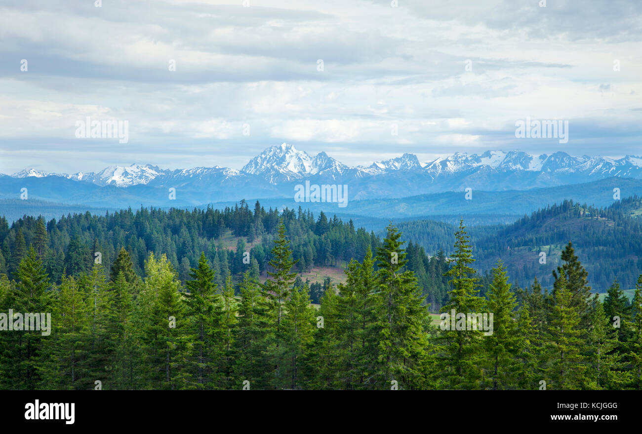 Snowcapped mountains with pine trees in Washington state Stock Photo ...