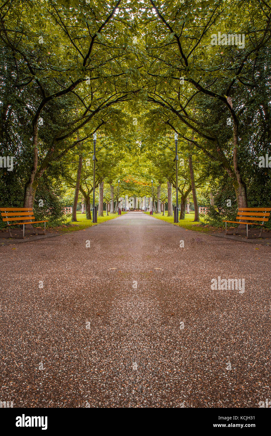 Symmetrical trees hi-res stock photography and images - Alamy
