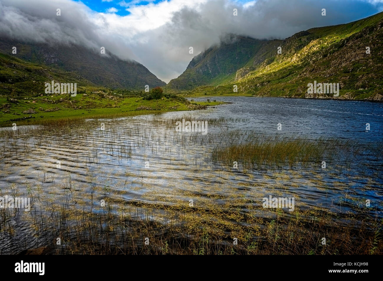 A View of wonderful landscape of Ireland's countryside Stock Photo - Alamy
