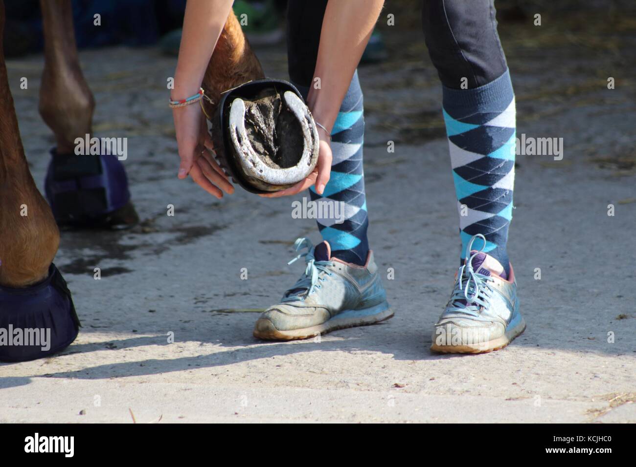a horse's hoof with iron in hand held to show the fork of the hoof ...
