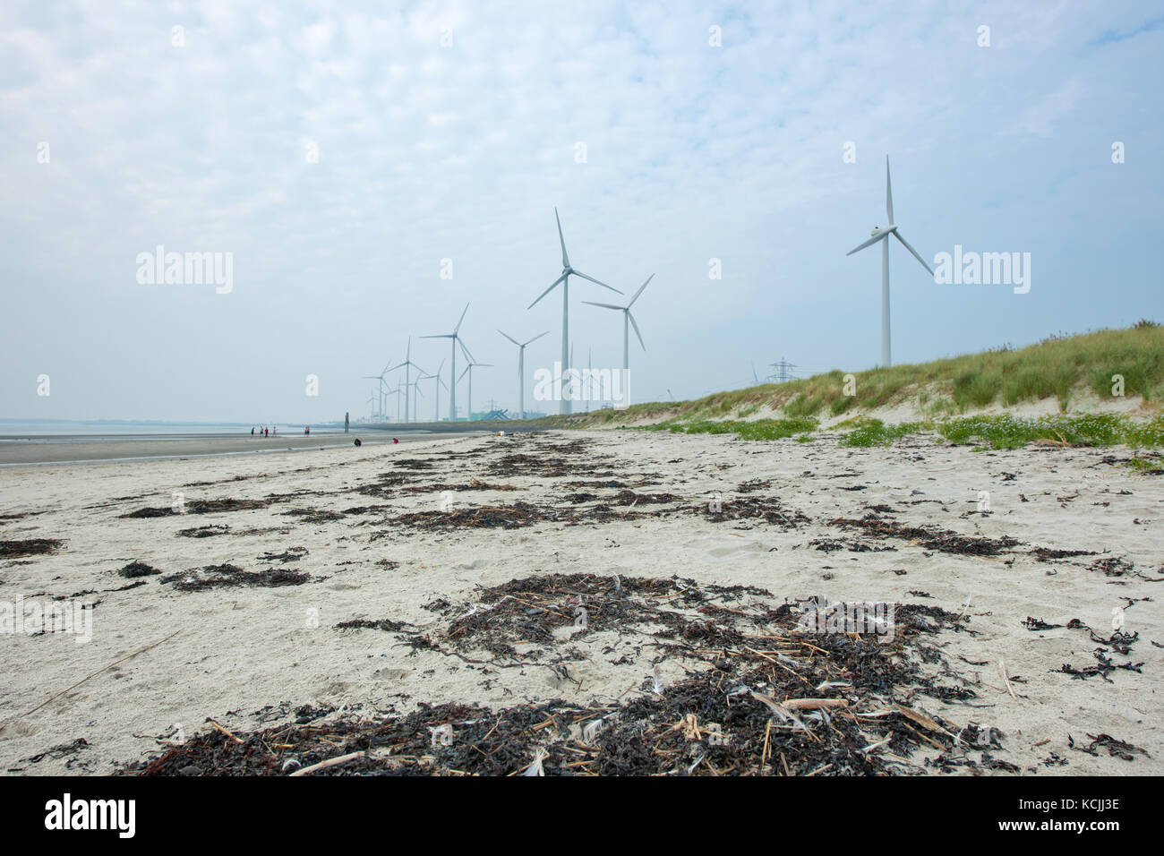Windmills on the beach along the Dutch coastline Stock Photo - Alamy