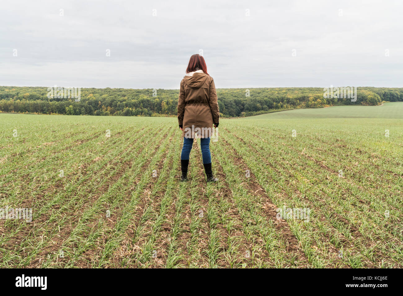 Agronomist on the field Stock Photo - Alamy