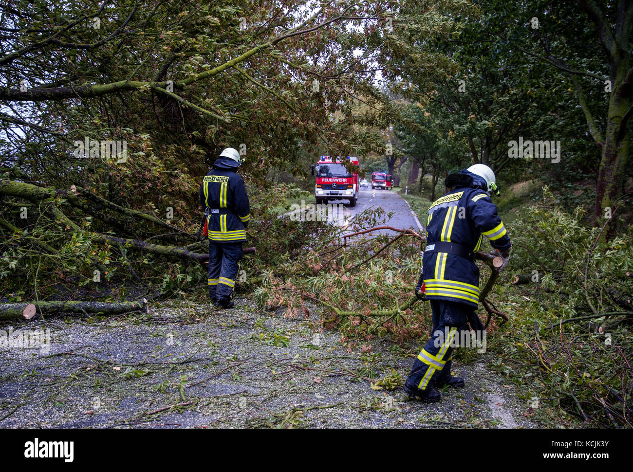 Wismar, Germany. 5th Oct, 2017. Several trees that fell in the storm ...