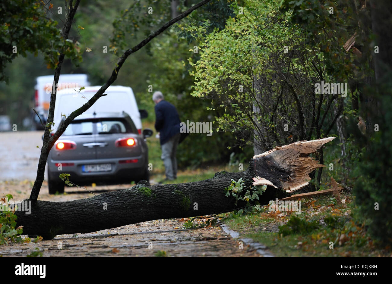 Kleinmachnow, Germany. 5th Oct, 2017. Branches and a fallen tree can be ...