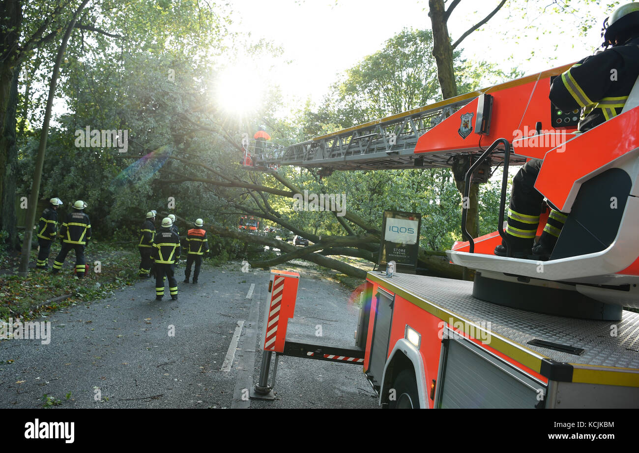 Hamburg, Germany. 5th Oct, 2017. Fire fighters cut a fallen tree in ...