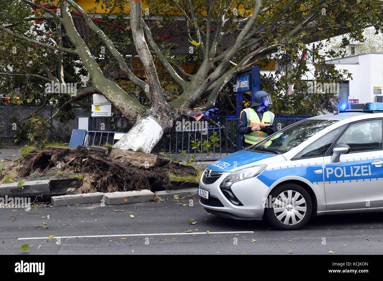 Berlin, Germany. 5th Oct, 2017. A tree has fallen in the storm in ...