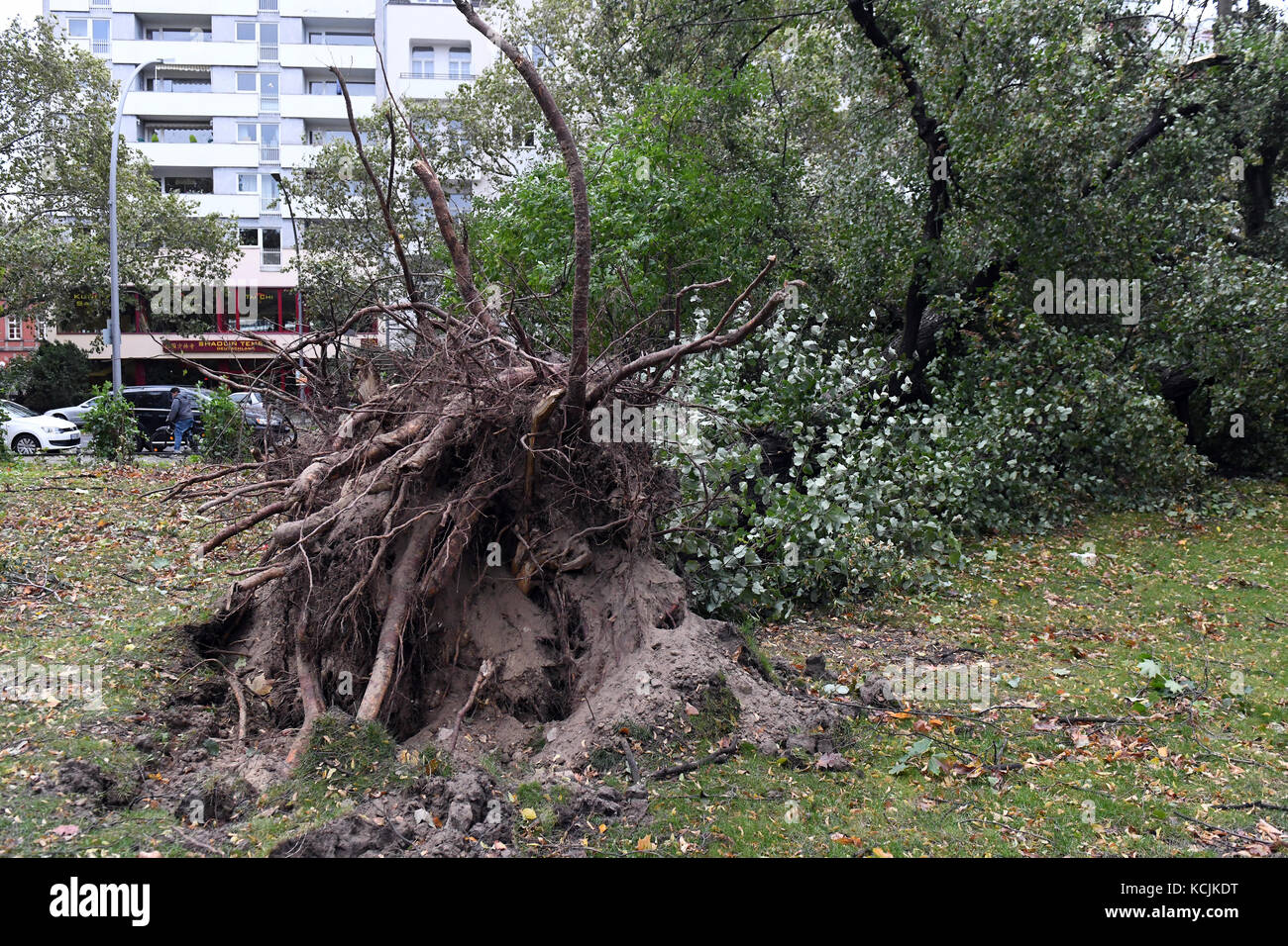 Berlin, Germany. 5th Oct, 2017. A tree has fallen in the storm in ...