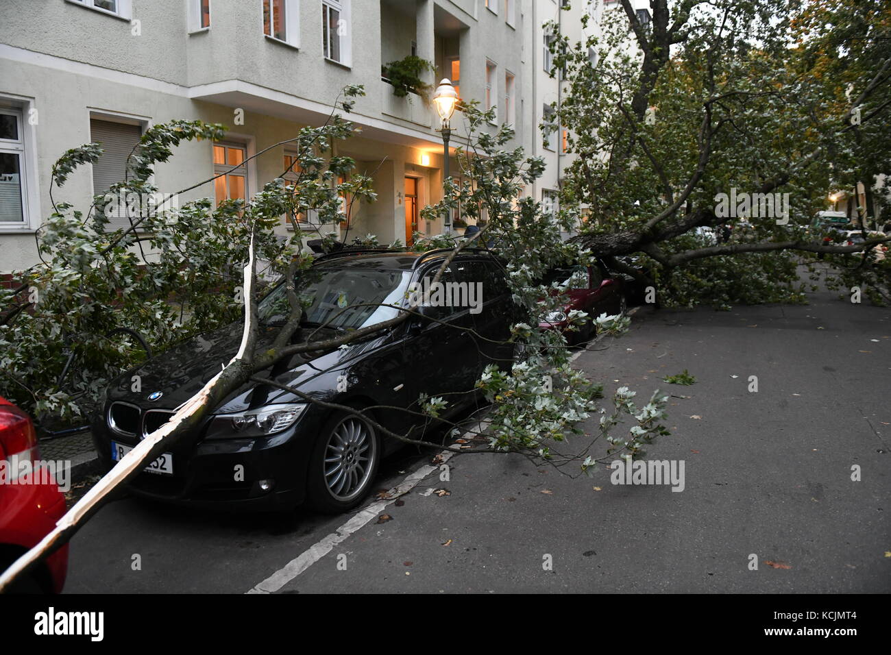 Berlin, Germany. 5th Oct, 2017. A tree has fallen onto a parking car at ...