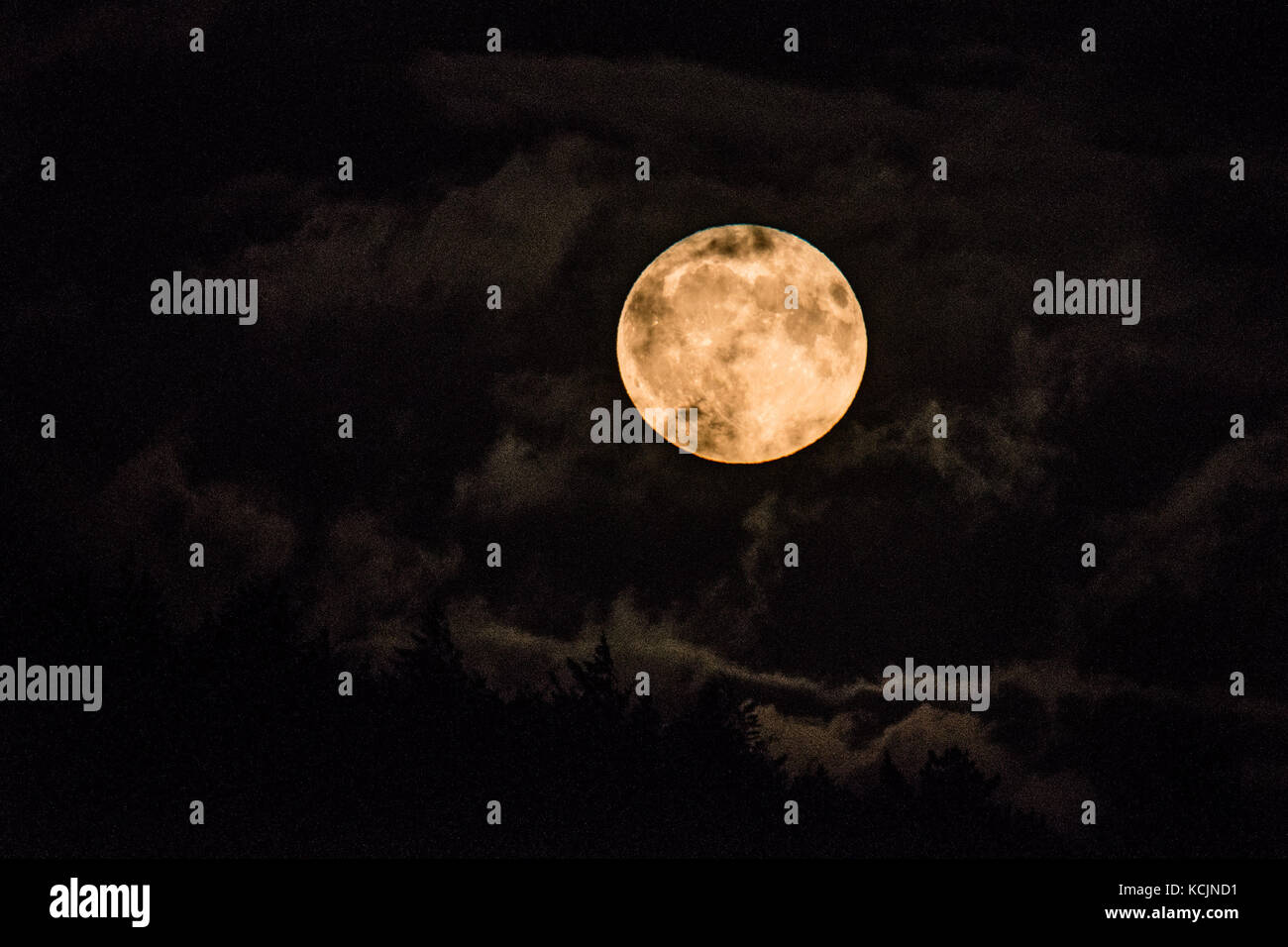 Moonrise Night Nighttime High Resolution Stock Photography and Images ...