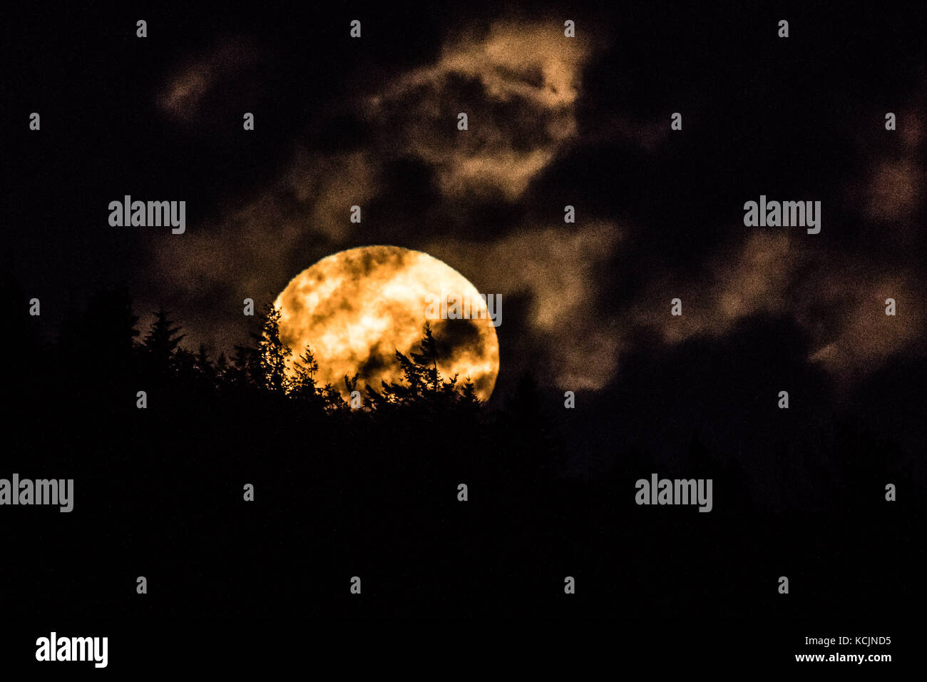 Moonrise Night Nighttime High Resolution Stock Photography and Images ...