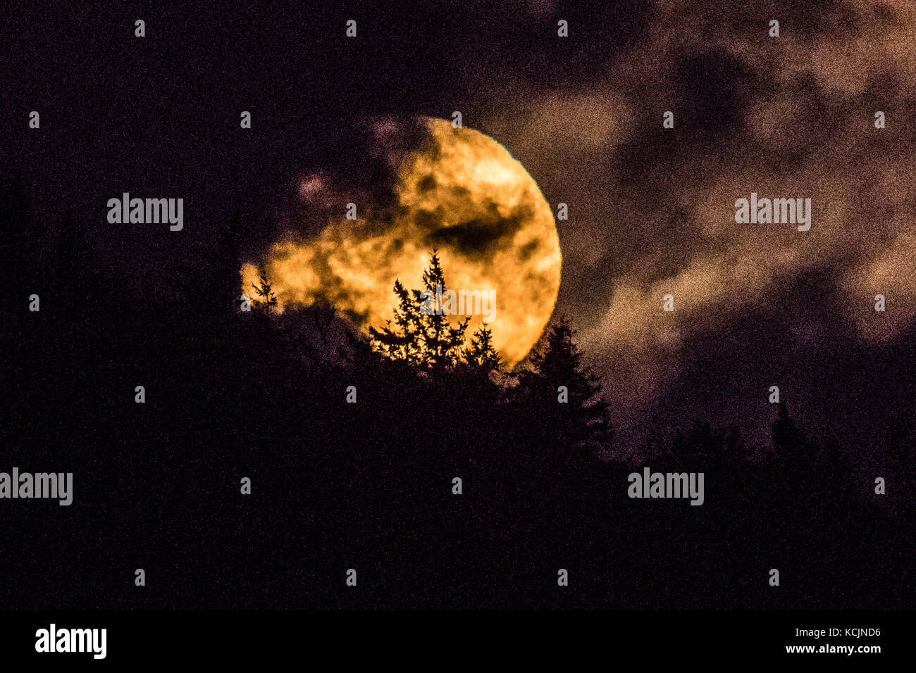 Moonrise Night Nighttime High Resolution Stock Photography and Images ...