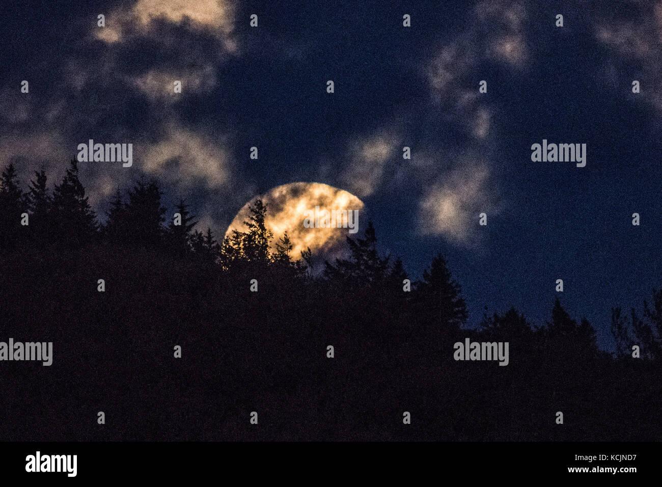 Moonrise Night Nighttime High Resolution Stock Photography and Images ...