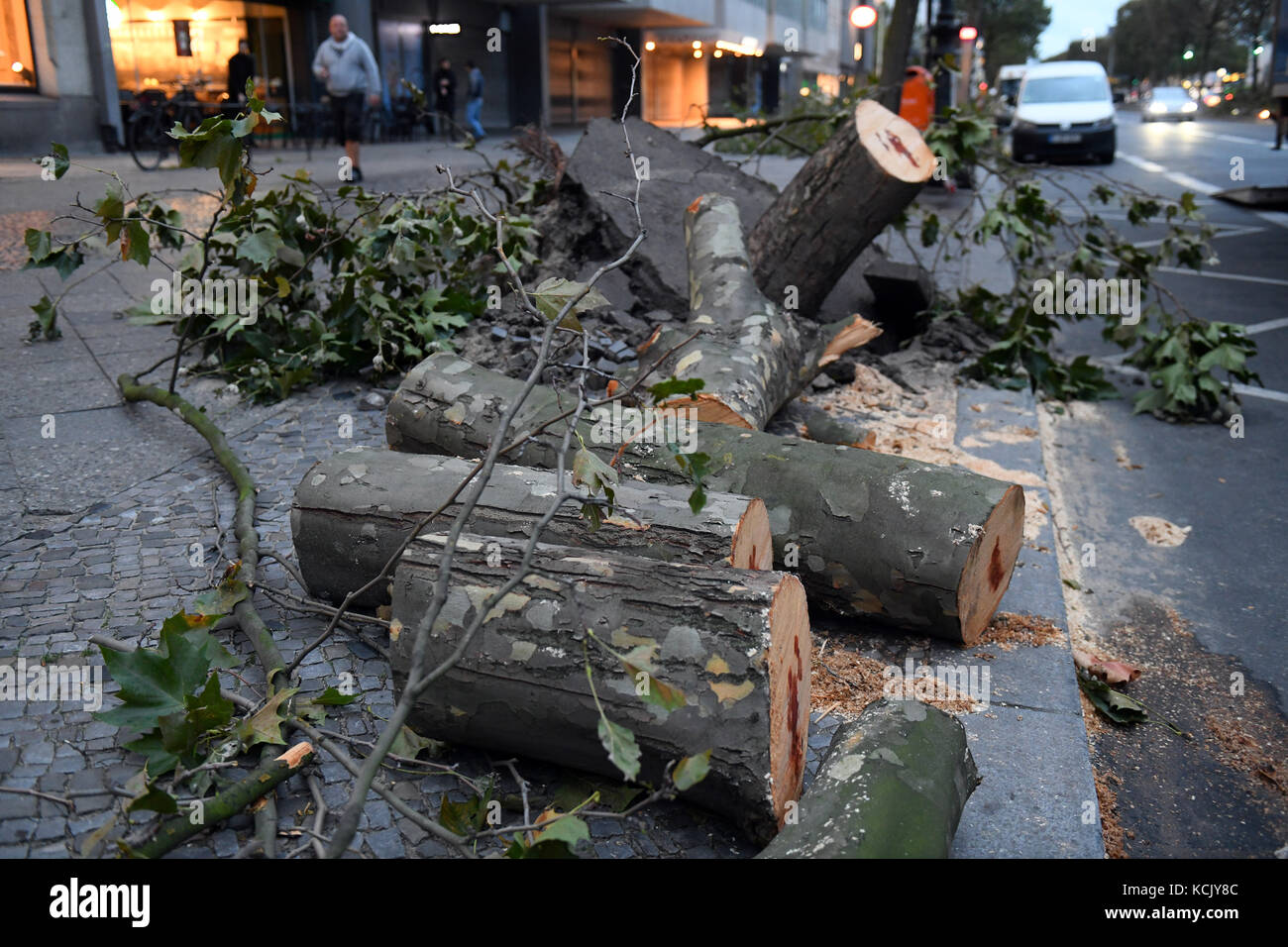Berlin, Germany. 6th Oct, 2017. Remains of uprooted trees can be seen ...