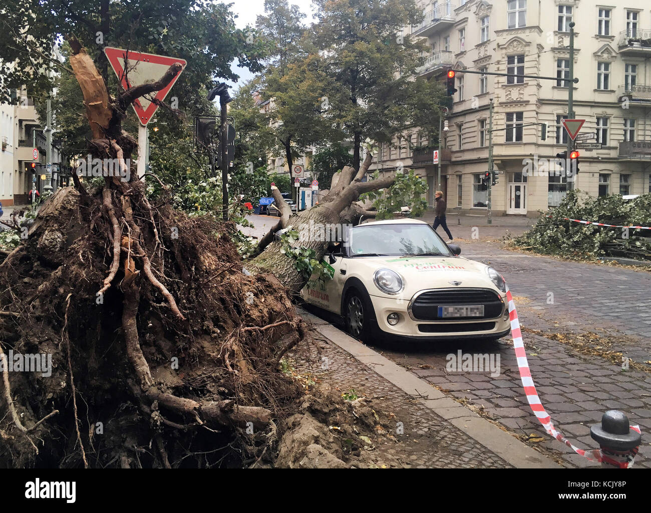 Berlin, Germany. 6th Oct, 2017. An uprooted tree crushes atop a parked ...