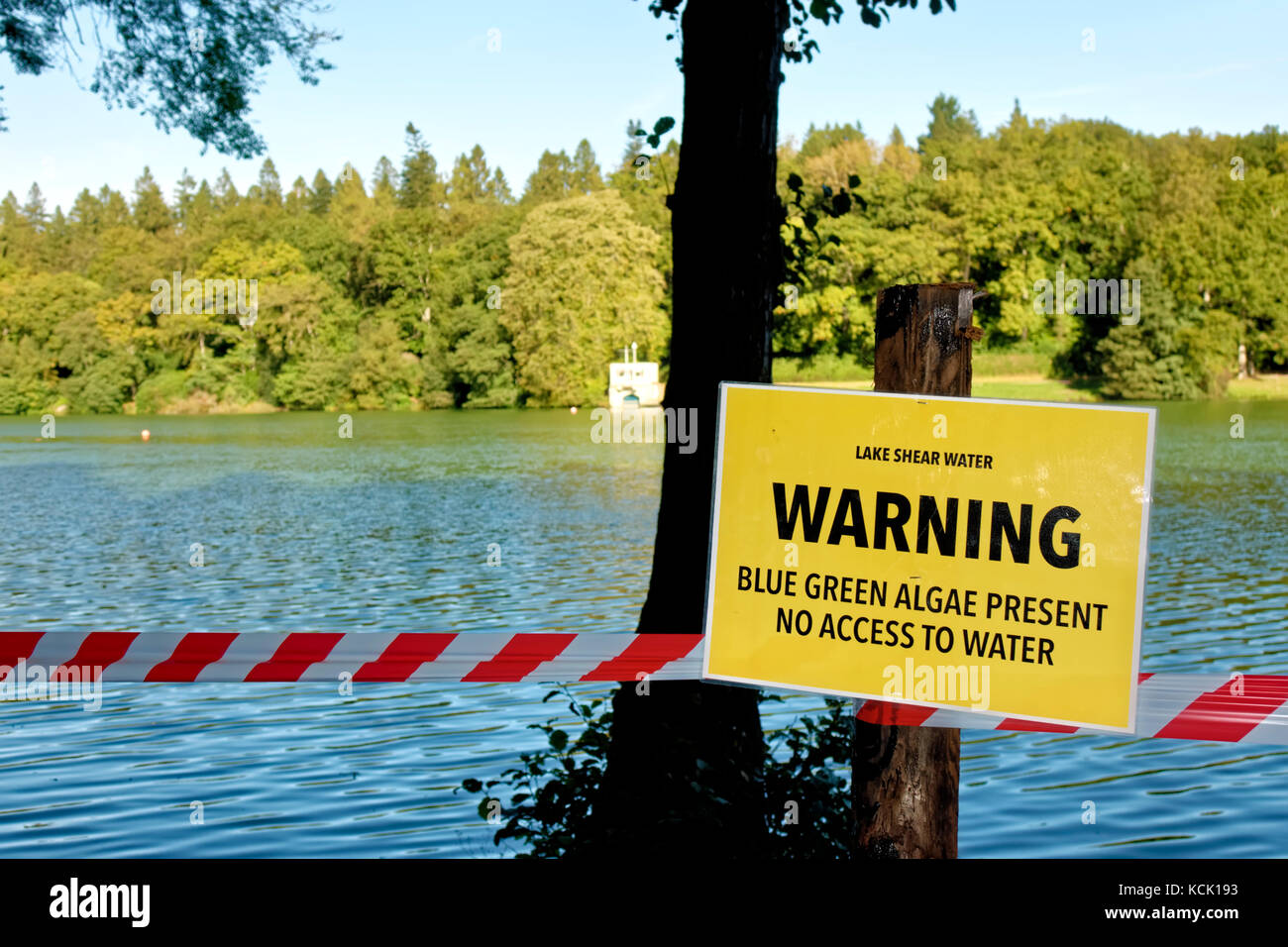 Shearwater lake longleat estate hi-res stock photography and images - Alamy