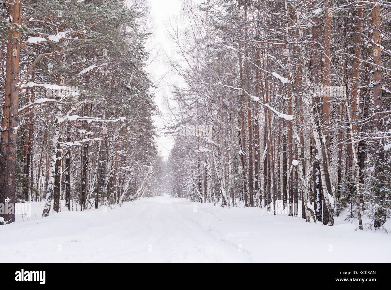 Straight road receding into distance hi-res stock photography and ...