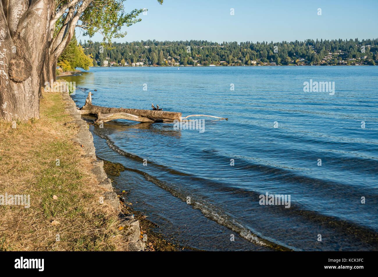 A view of the shoreline at Seward Park in Seattle, Washington. Mercer ...