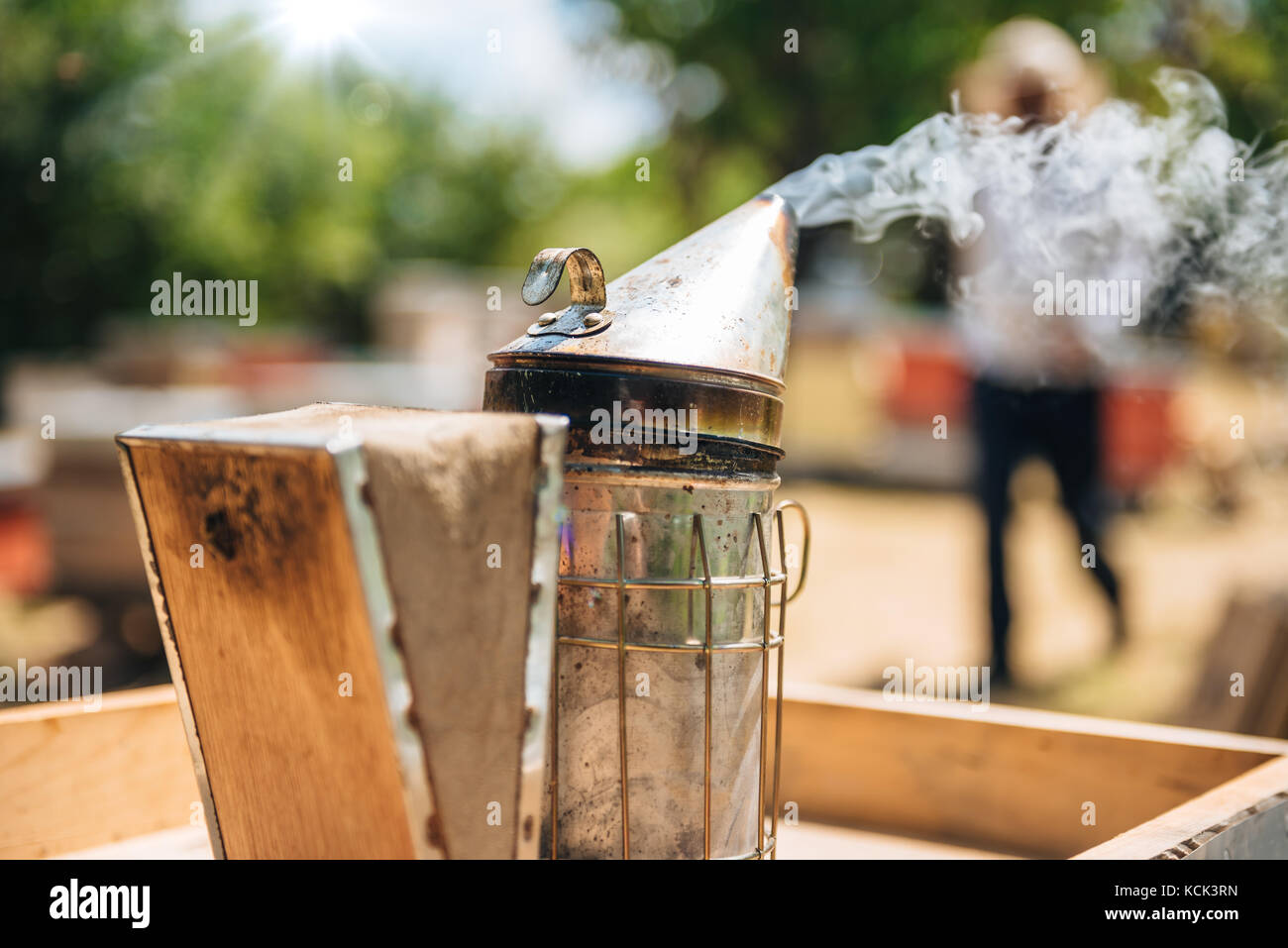 Beekeeper smoking pot standing on the hives Stock Photo - Alamy