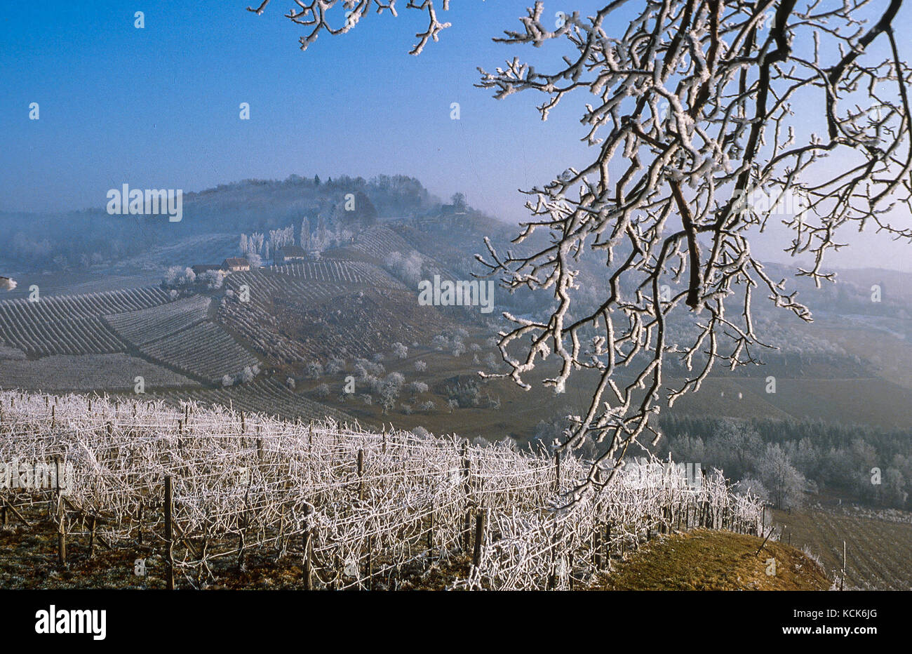 Spielfeld hi-res stock photography and images - Alamy
