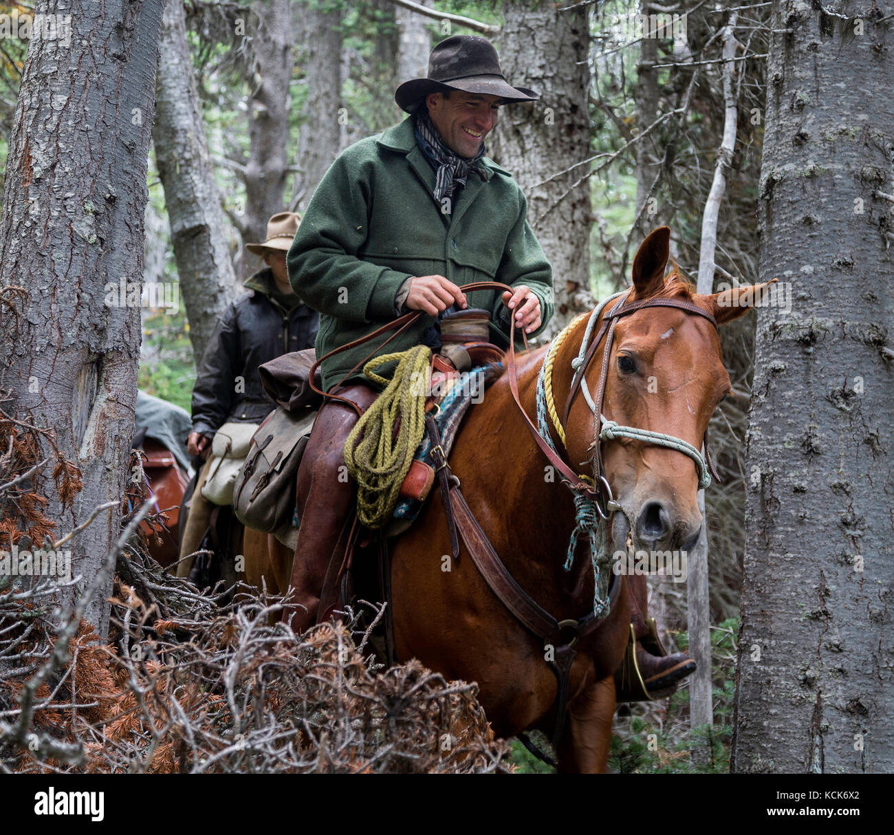Guide horse hi-res stock photography and images - Alamy