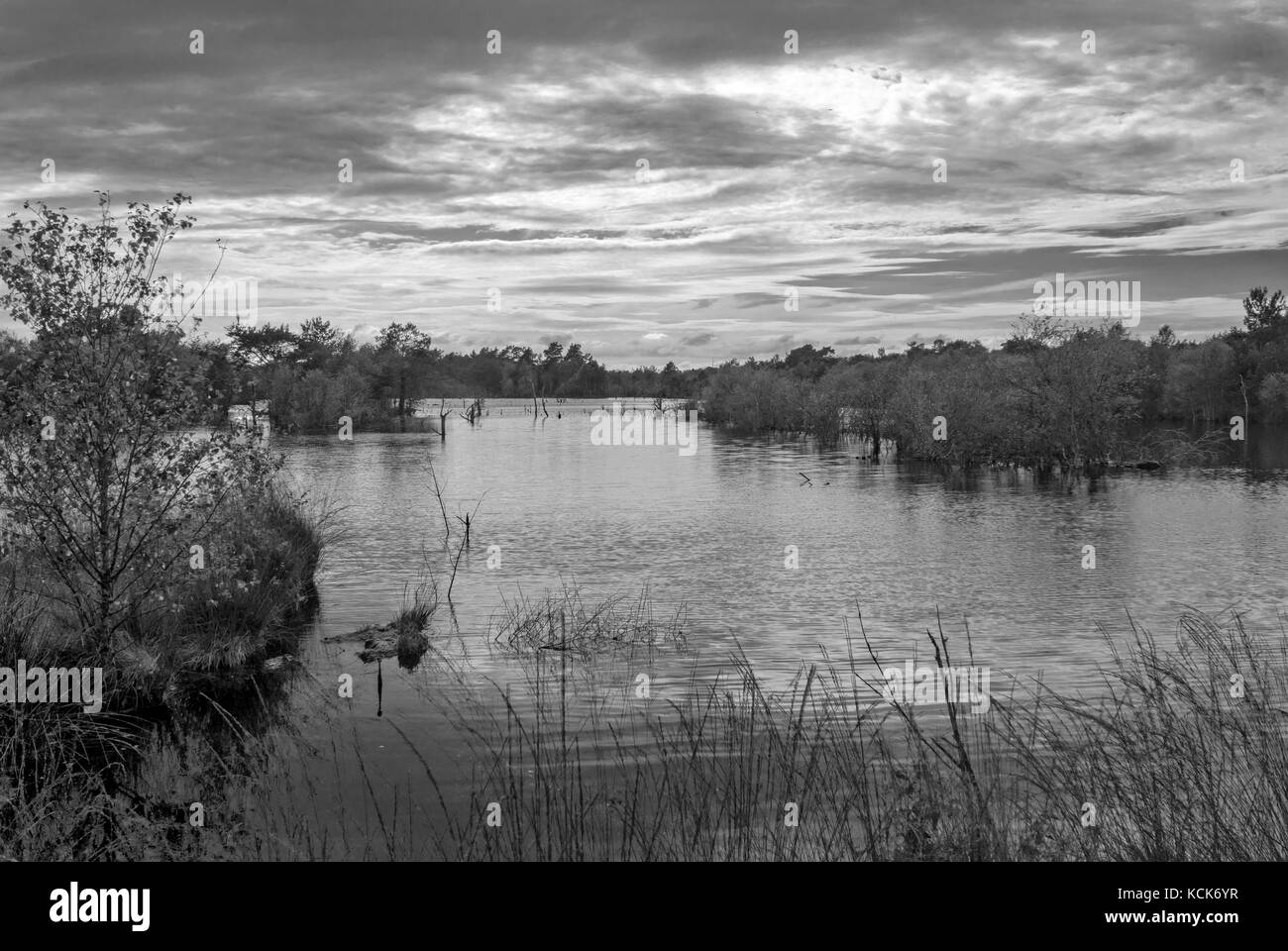 Oldendorf hi-res stock photography and images - Alamy