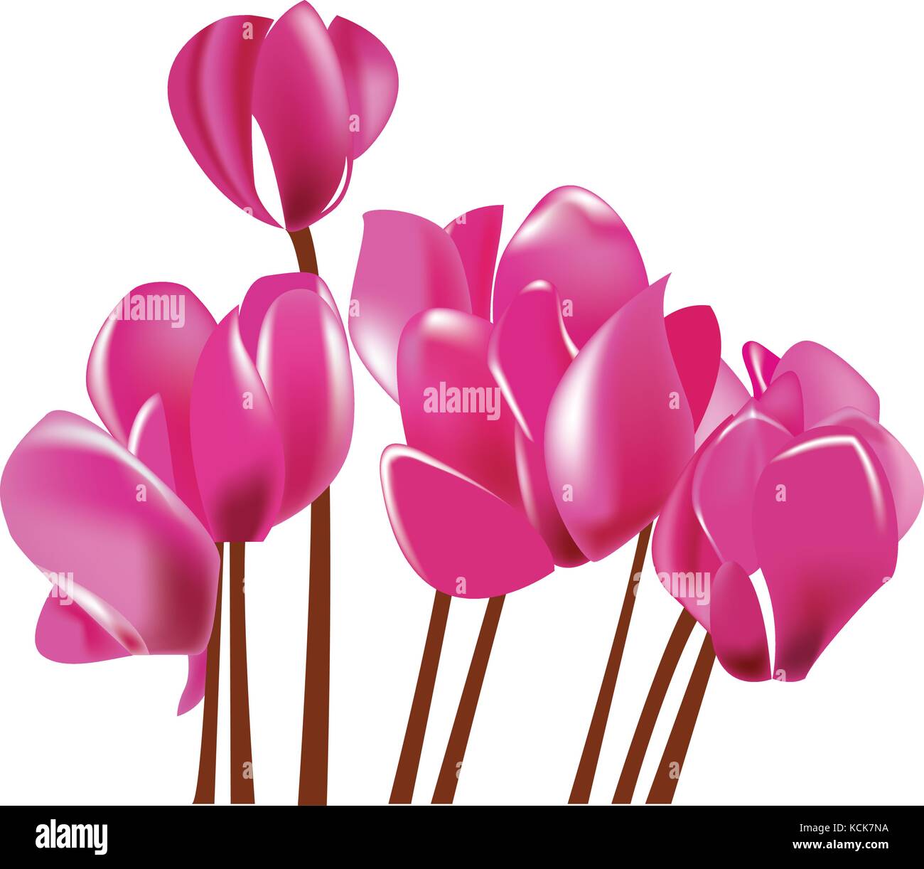 Blooming pink branch Stock Vector Images - Alamy