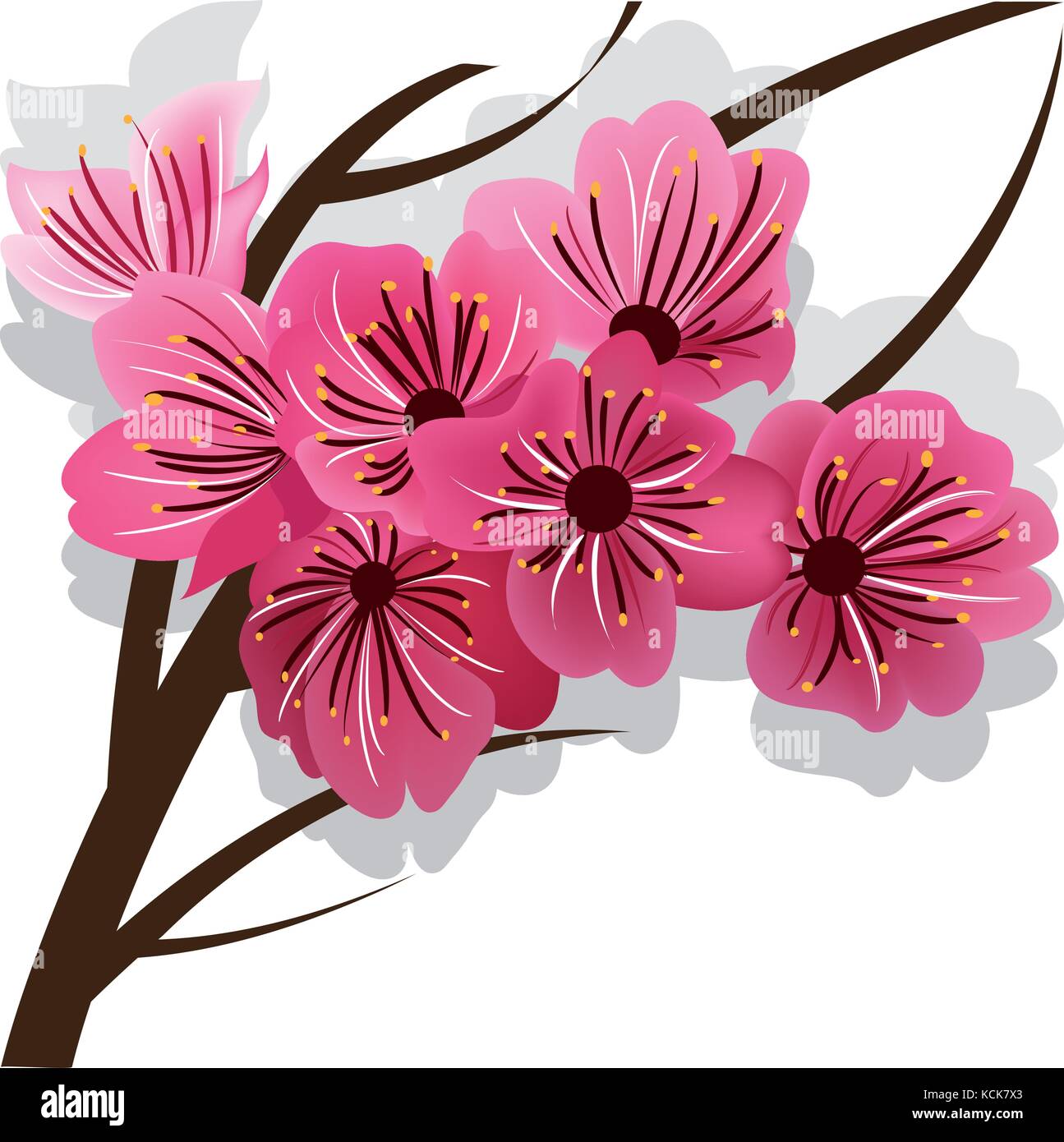 Apple flower on branch Stock Vector Images - Alamy