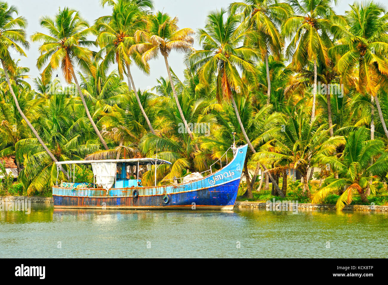Kerala backwater fish hi-res stock photography and images - Alamy