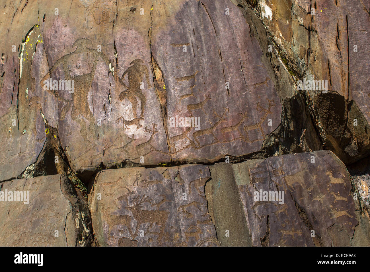 Petroglyphs of Altay. Ancient rock paintings in the Altai Mountains ...