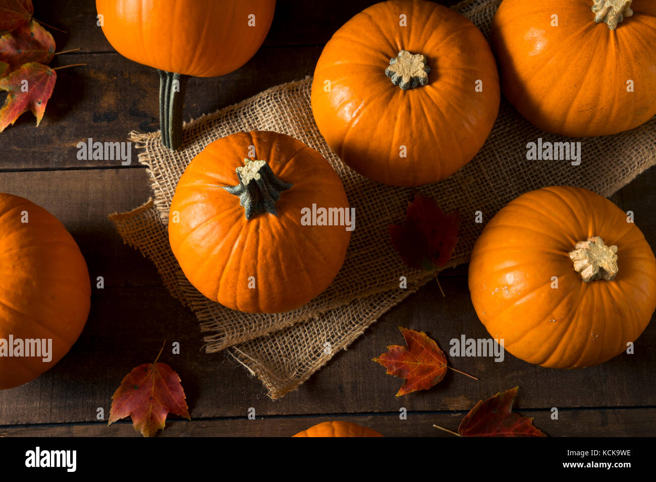 Raw Orange Organic Pie Pumpkins in a Group Stock Photo - Alamy