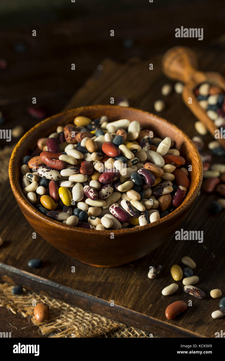 Heap of Assorted Mixed Organic Dry Beans in a Bowl Stock Photo - Alamy