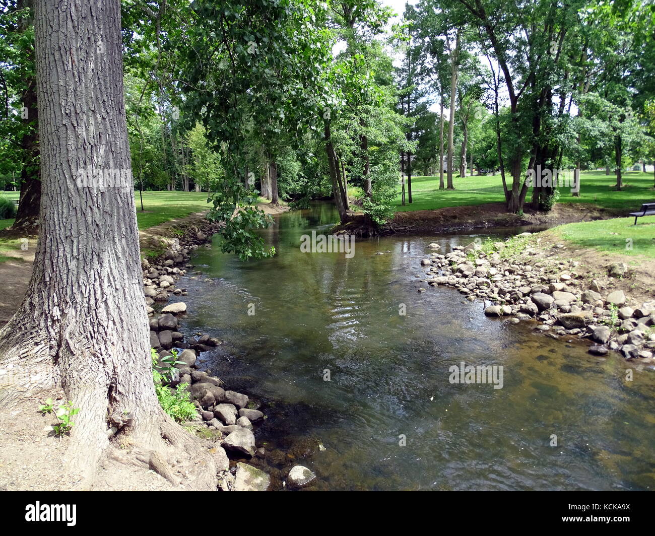 A peaceful stream under shady trees flowing through a park in rural ...