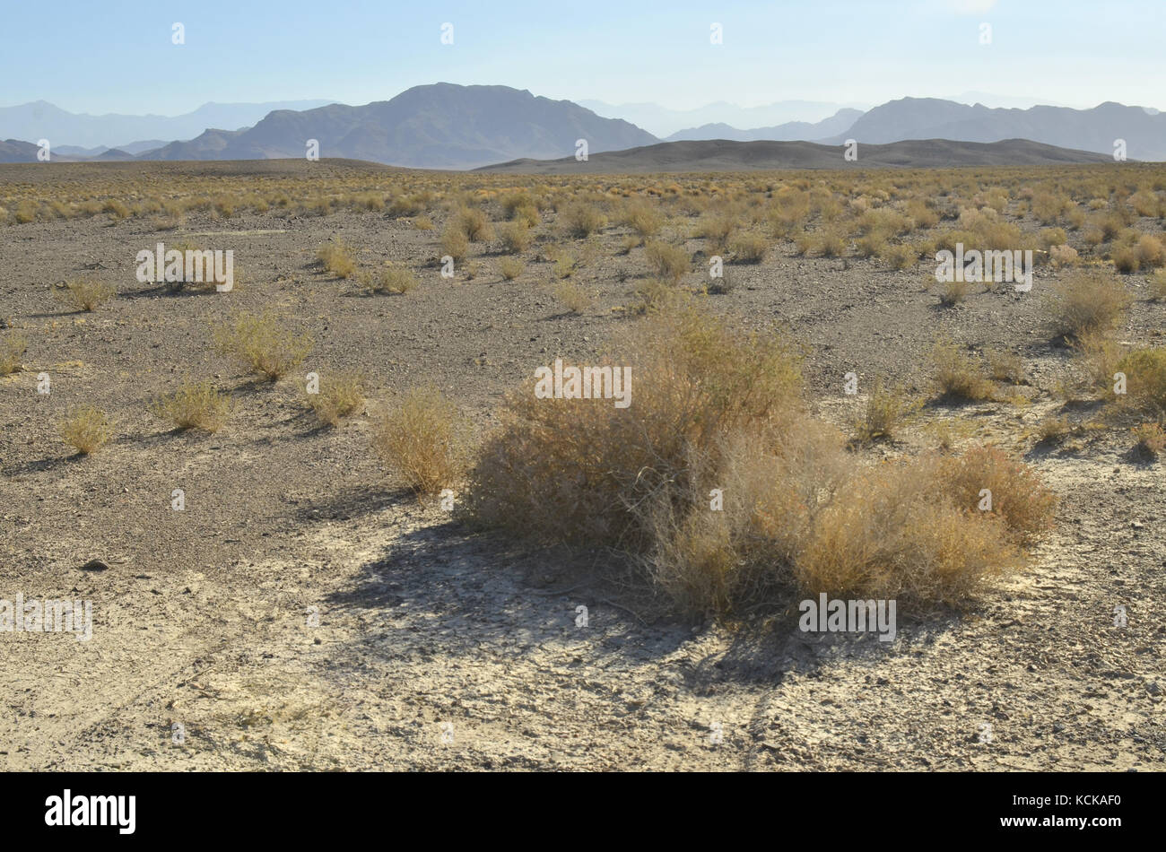 Mojave desert near Death Valley Stock Photo - Alamy