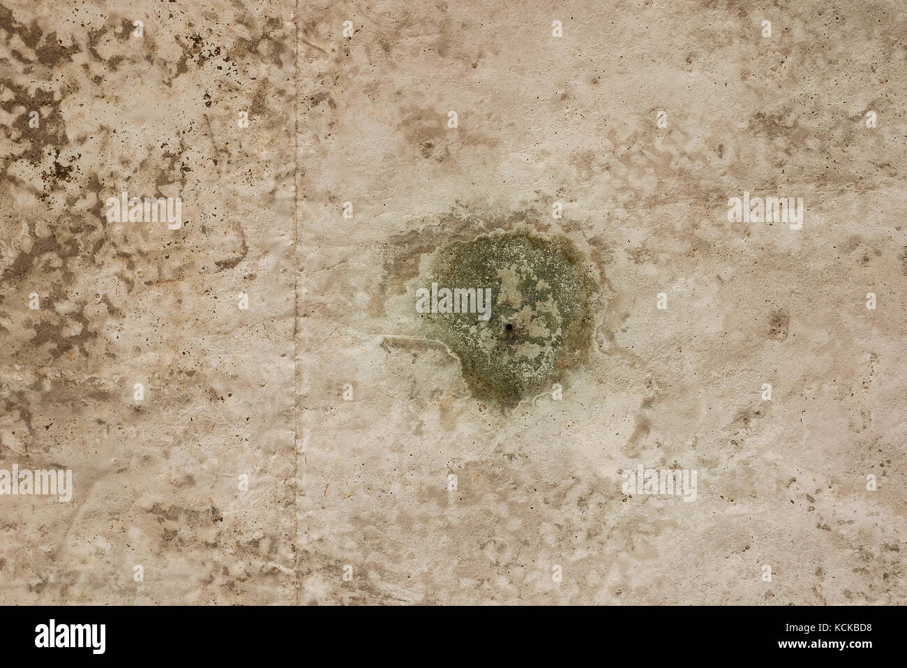 concrete wall with grunge texture and moss green algae , texture ...