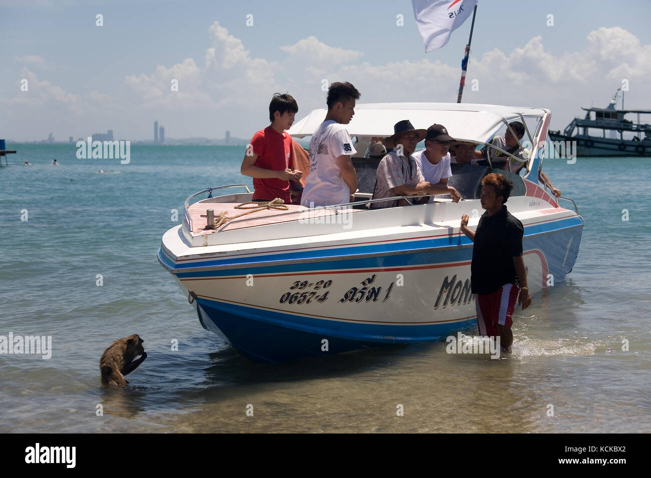 Pattaya, Thailand, May 16, 2013: The cunning monkey is getting to the ...