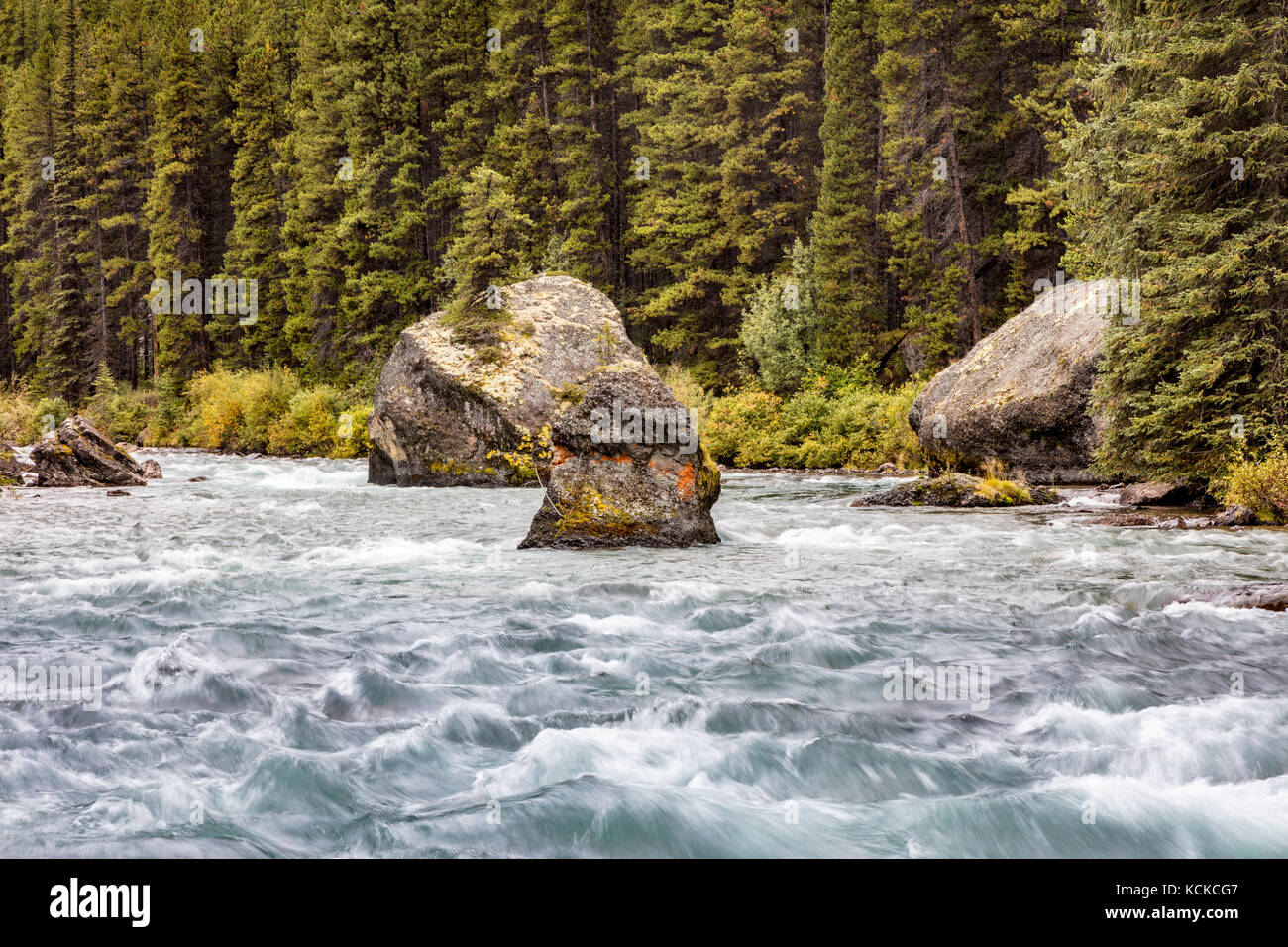 Jasper rivers hi-res stock photography and images - Alamy