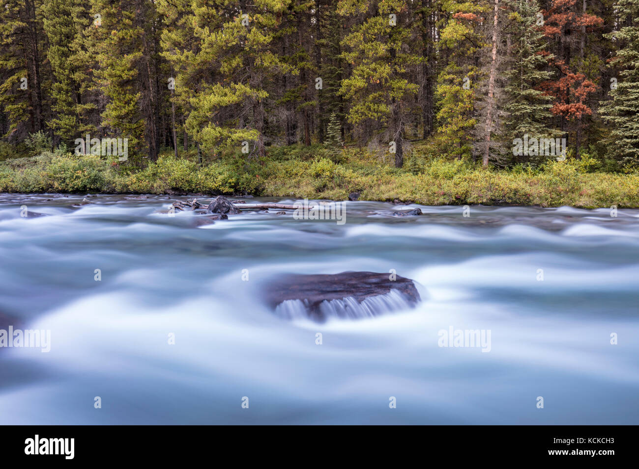 Maligne river jasper national park hi-res stock photography and images ...