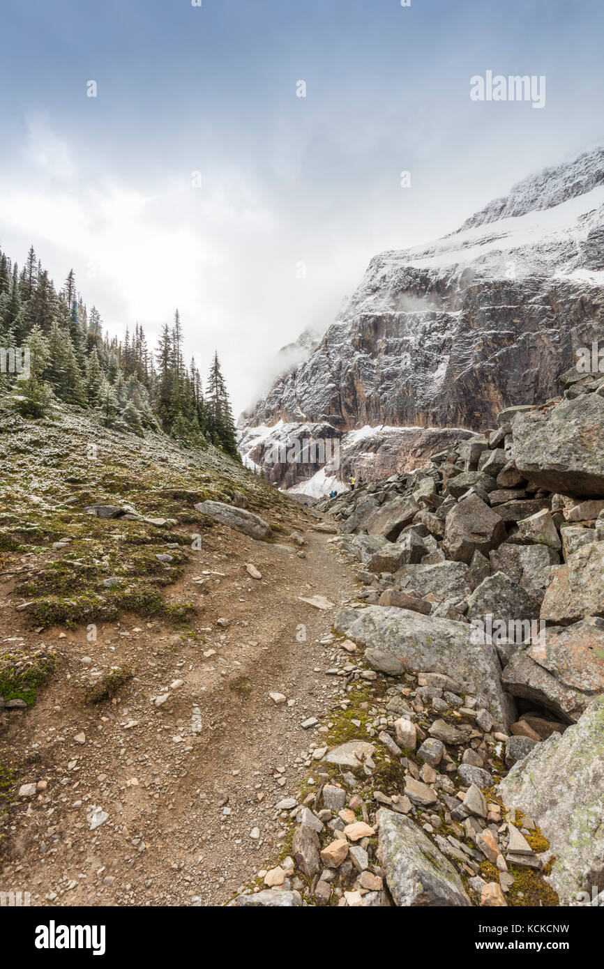 Edith cavell meadows trail hi-res stock photography and images - Alamy