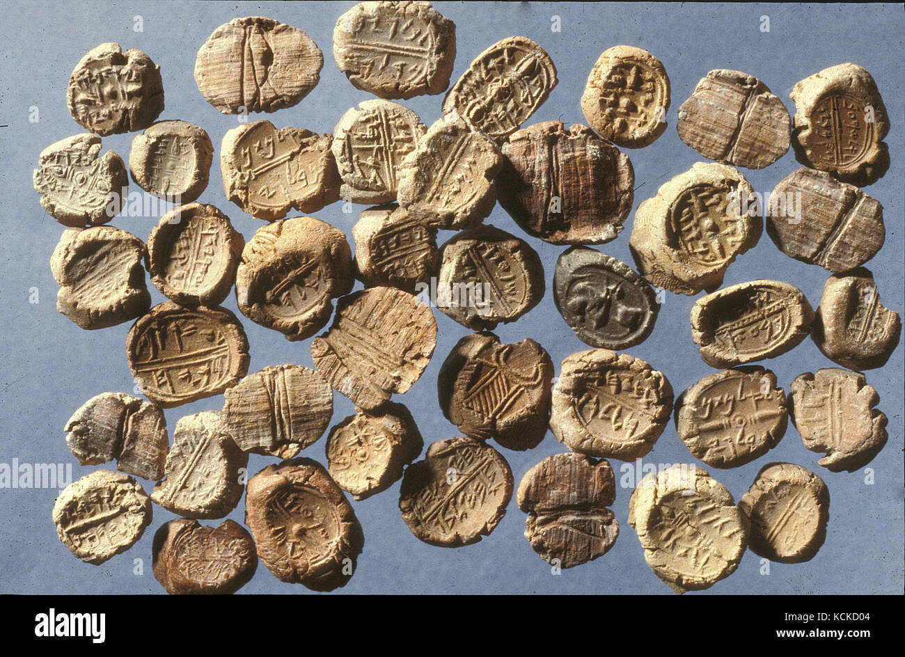 Bullae hi-res stock photography and images - Alamy