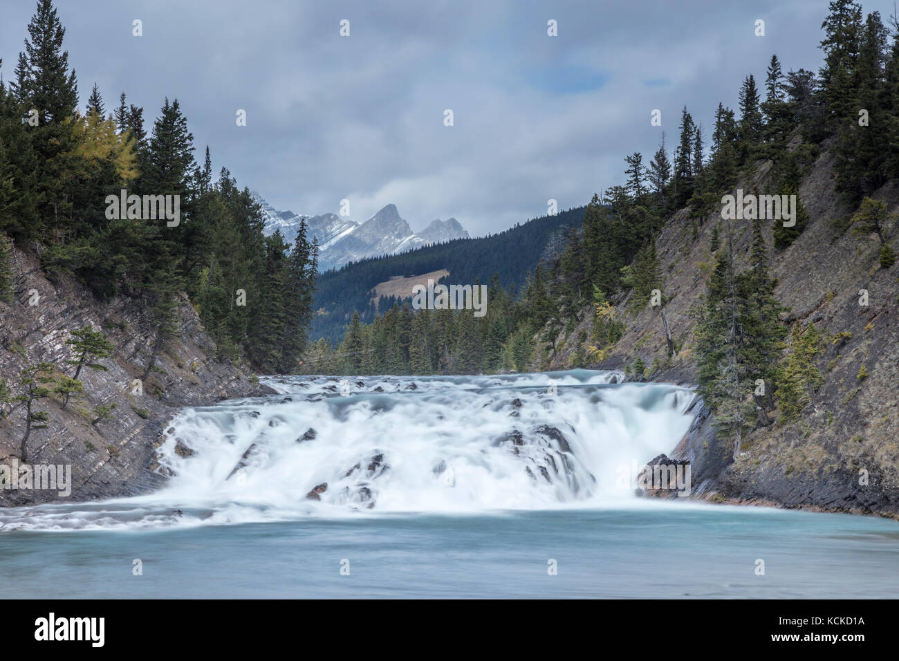 Canada day bow hi-res stock photography and images - Alamy